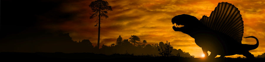 Life Before Dinosaurs – The Museum Store at the NC Museum of Natural ...