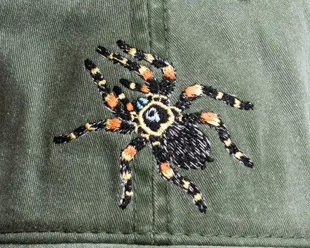 Red Knee Tarantula Hat – The Museum Store at the NC Museum of Natural ...